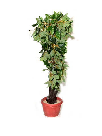 Cardona Planter – Urban Galleria